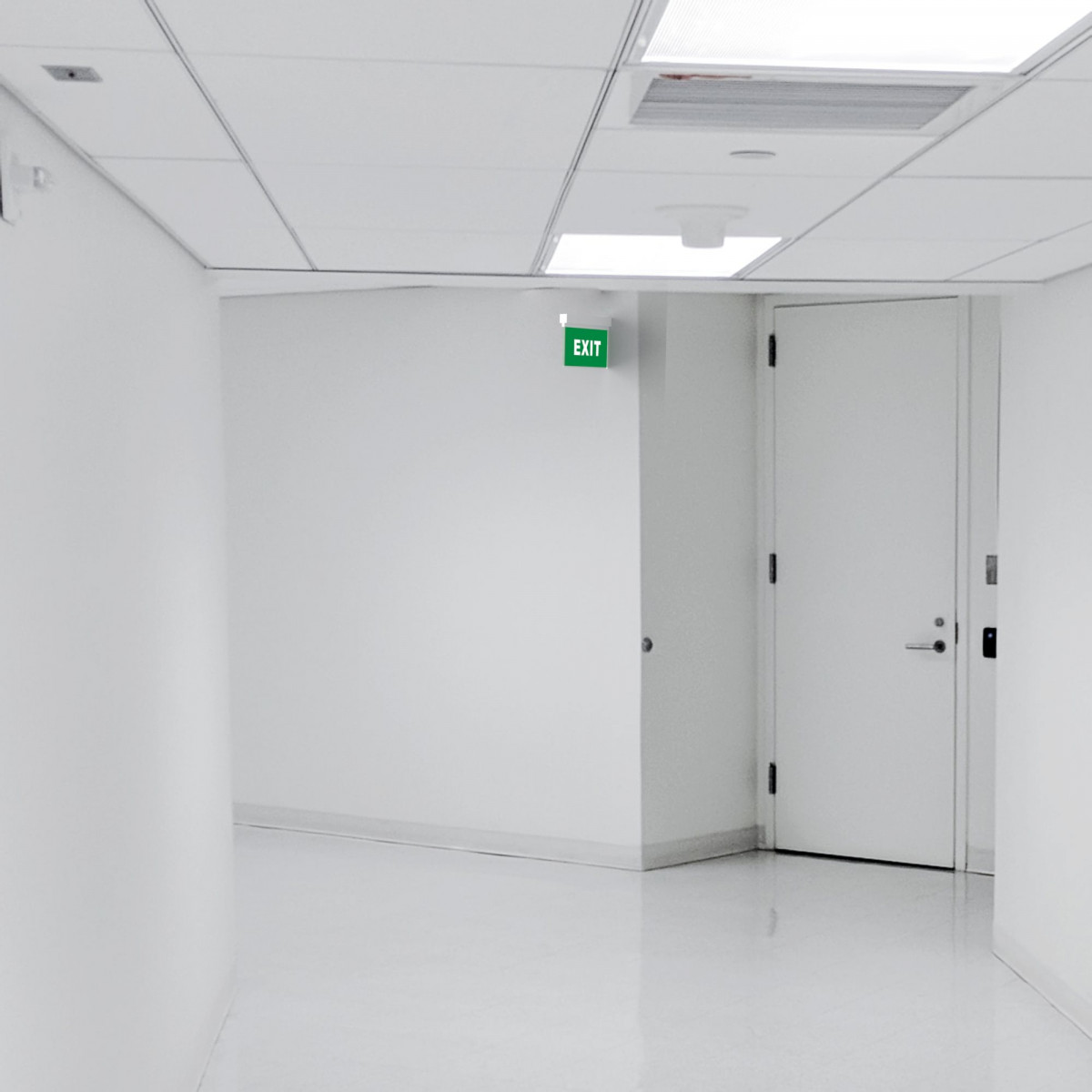 Luz de emergencia permanente de superficie con cartel "Exit"