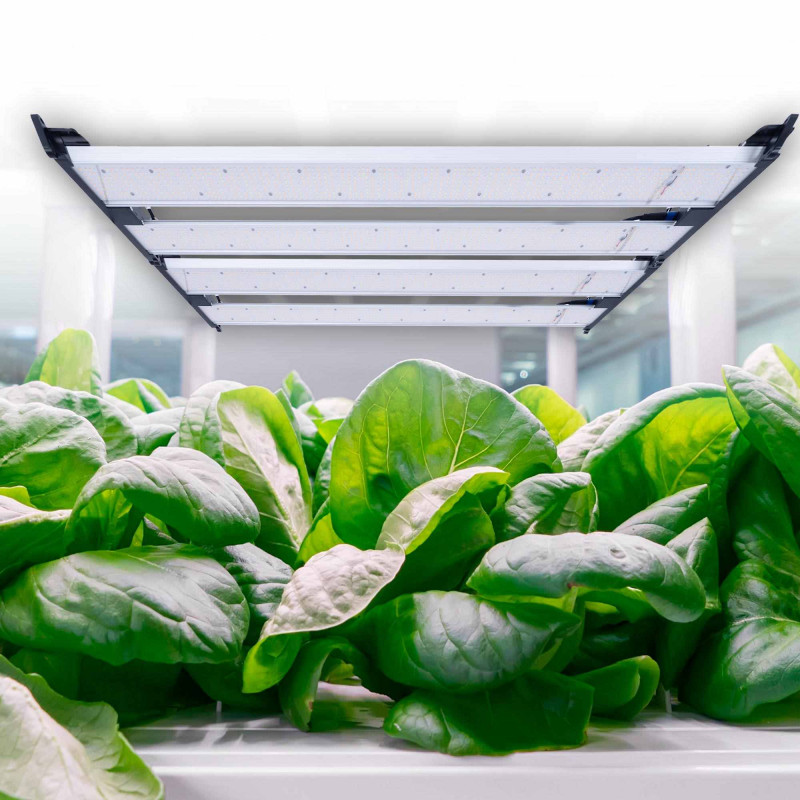 Cable de unión para luminarias de cultivo G400-250W