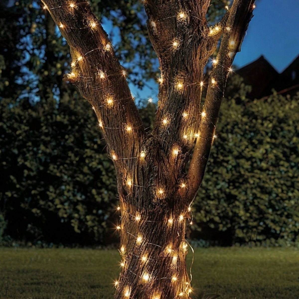 Guirnalda solar en alambre plateado - IP44 - 100 luces - Blanco cálido ...