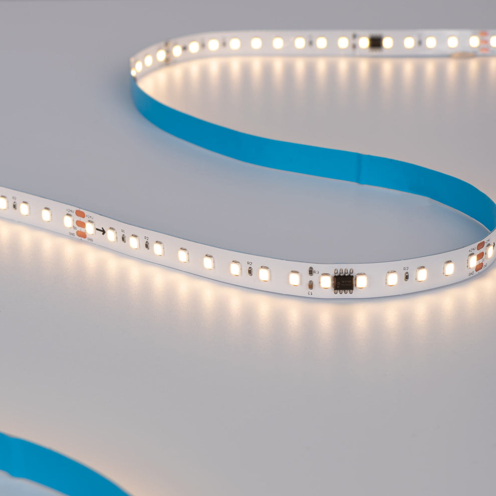 Intelligent single color LED strip IC 24V DC - 15W/m - IP20 - 120LED/m ...