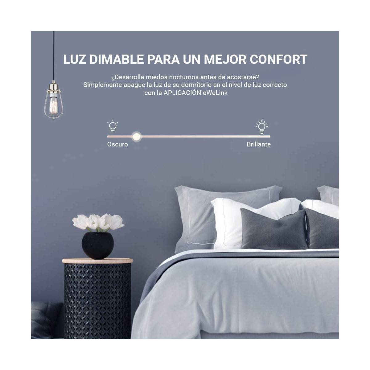 Sonoff D1 Smart Dimmer Switch: new smart dimmer from SONOFF