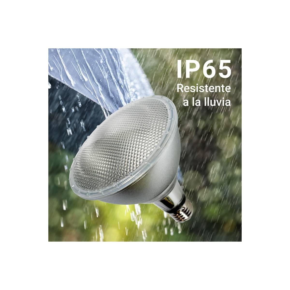 LED PAR 38 LED Bulbs 12W IP65 | Outdoor Light Bulb
