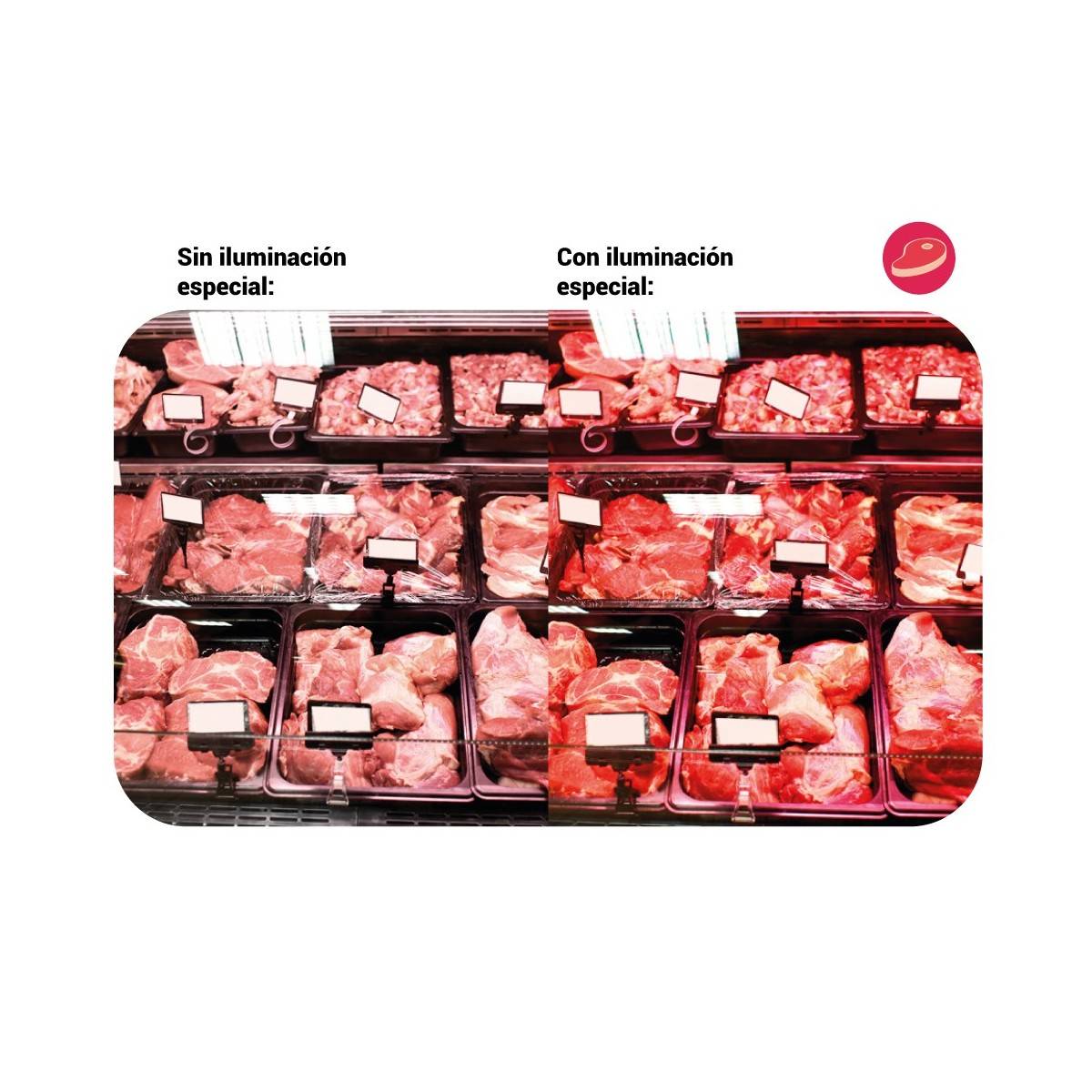 Meat LED Strip 24V-DC 180W | Butcher Shop Lighting