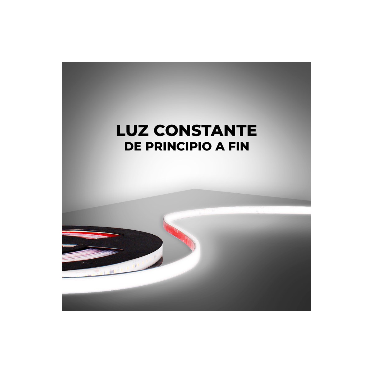 Buy LED Strip 220V 75W (600xSMD2835) 12mm IP67 5 meters Roll