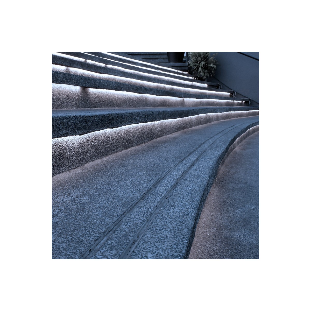 Buy LED Strip 220V 75W (600xSMD2835) 12mm IP67 5 meters Roll