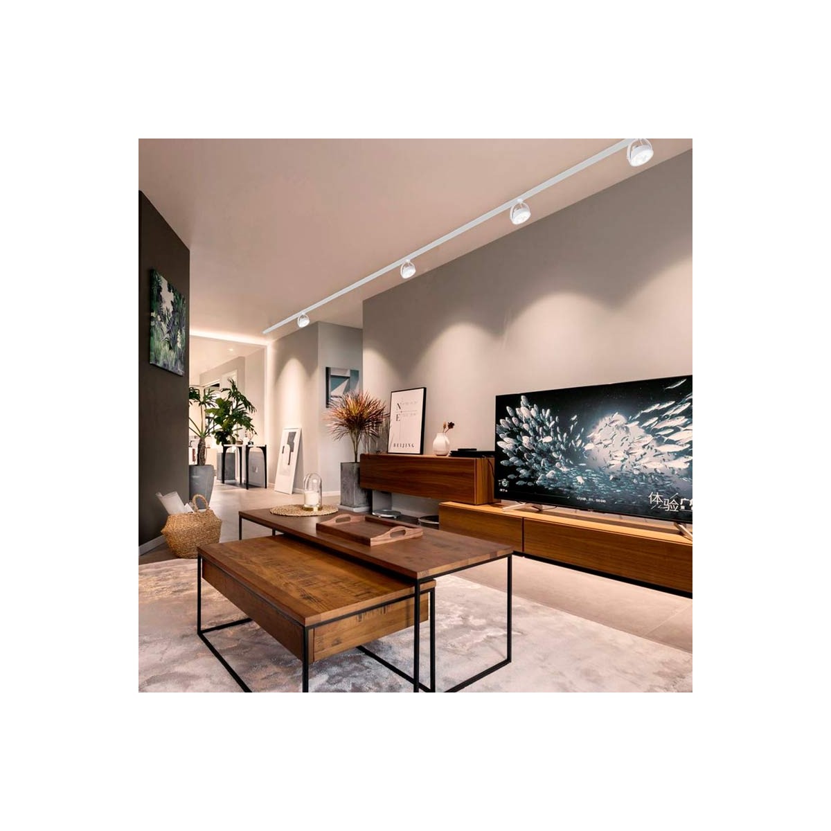 AR111 GU10 single-phase track spotlight AR111 GU10