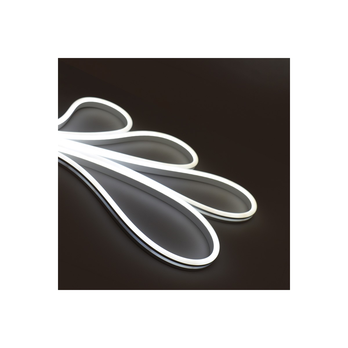 Flexible LED Neon 5 Meters 11W/m 24V 6x13mm IP67