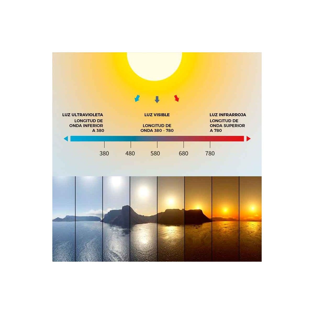 LED Panel "Blue Skylight" sky effect - Daylight - 95W coelux