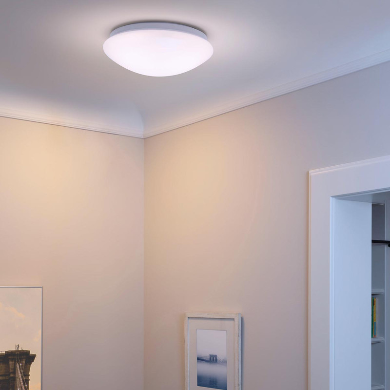 Ledvance ceiling lamp 25CM - 13W - ESSENTIAL RANGE - 6500K