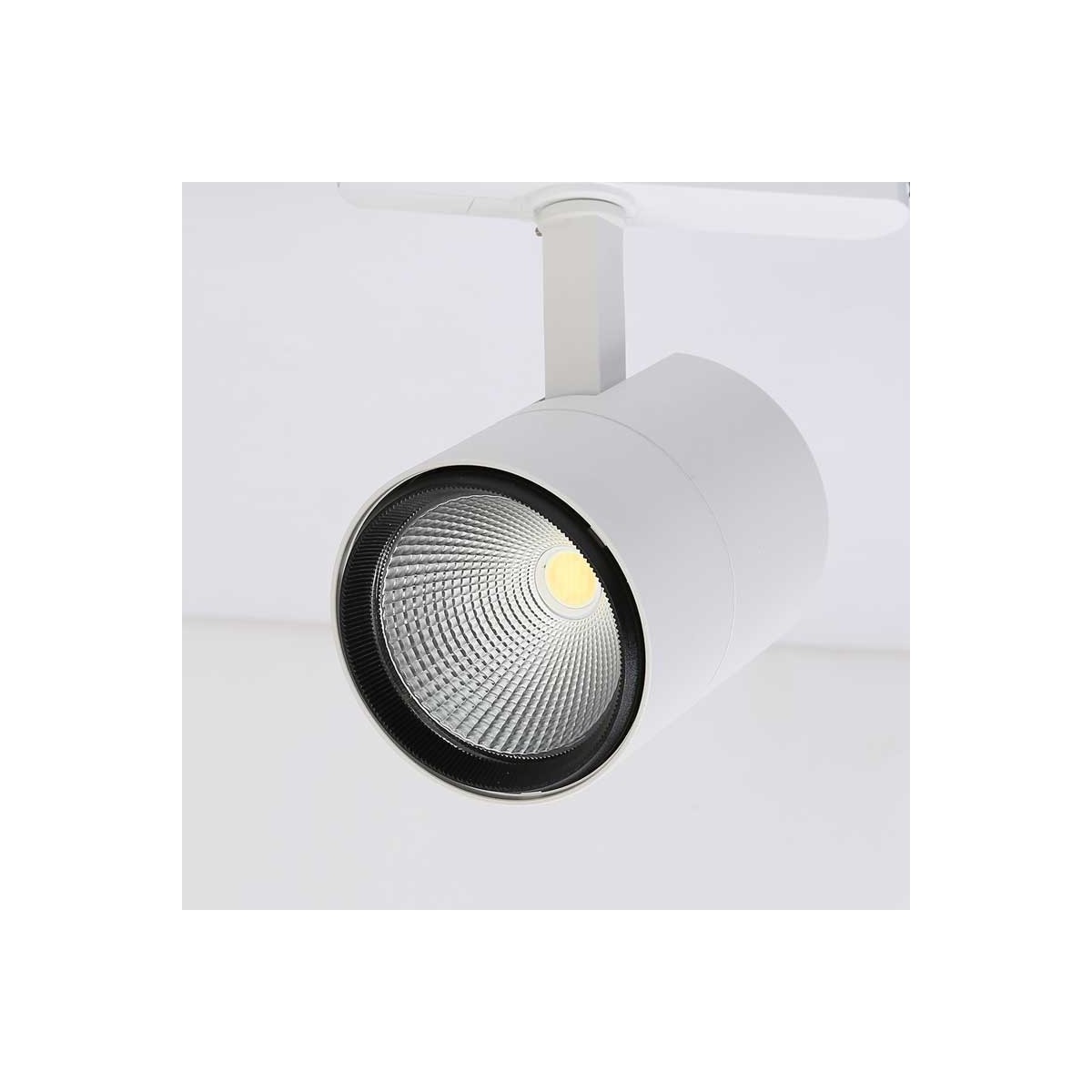 Buy specialized LED projector for fashion and retail