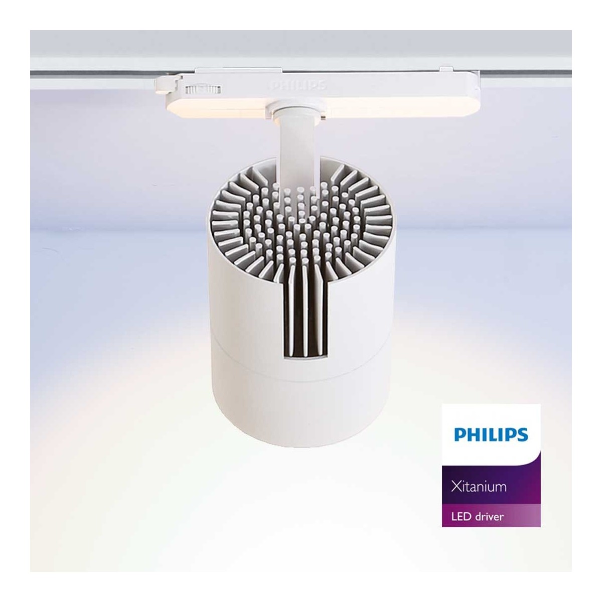 Buy specialized LED projector for fashion and retail