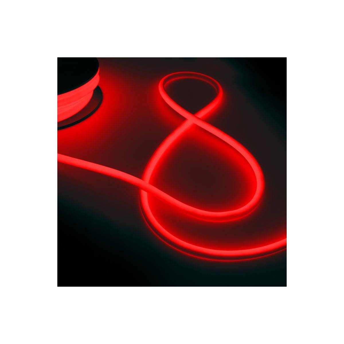 Flexible LED neon 24V DC - 12x12mm - 10 meters - Complete kit - 12W/m ...