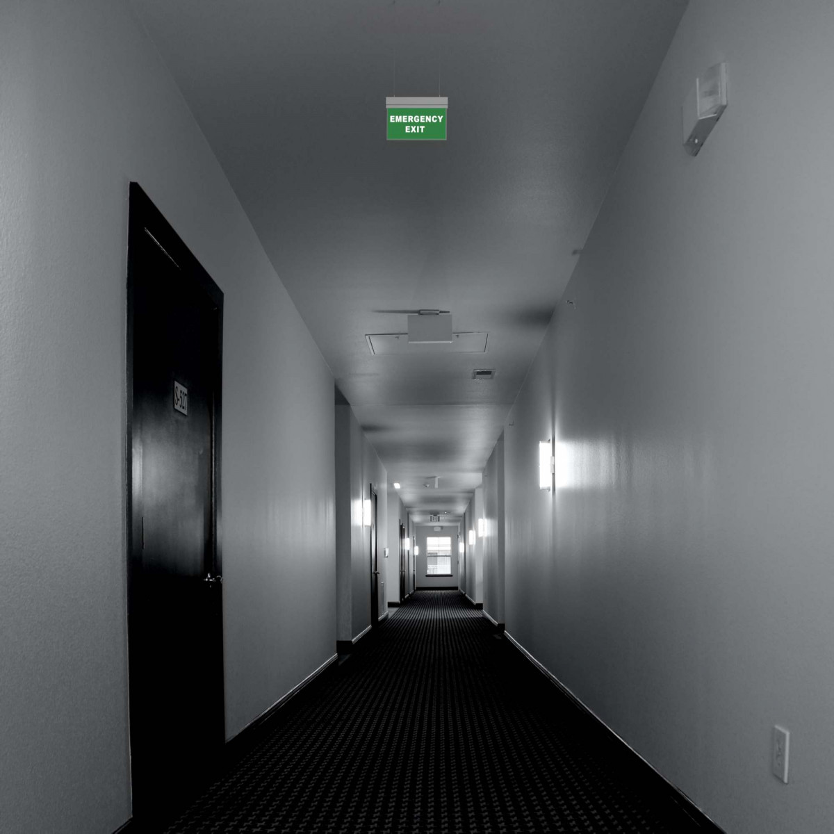 Hanging permanent emergency light with "Emergency Exit" sign