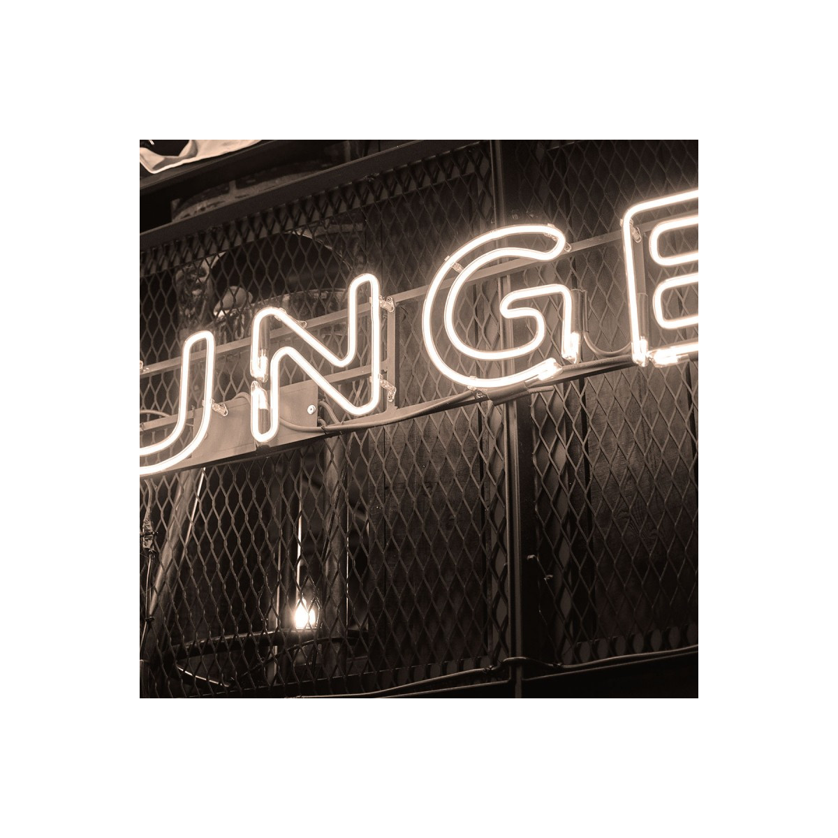 Single color LED Neon Flex - 24V DC - 10x10mm - 5m - 10W/m