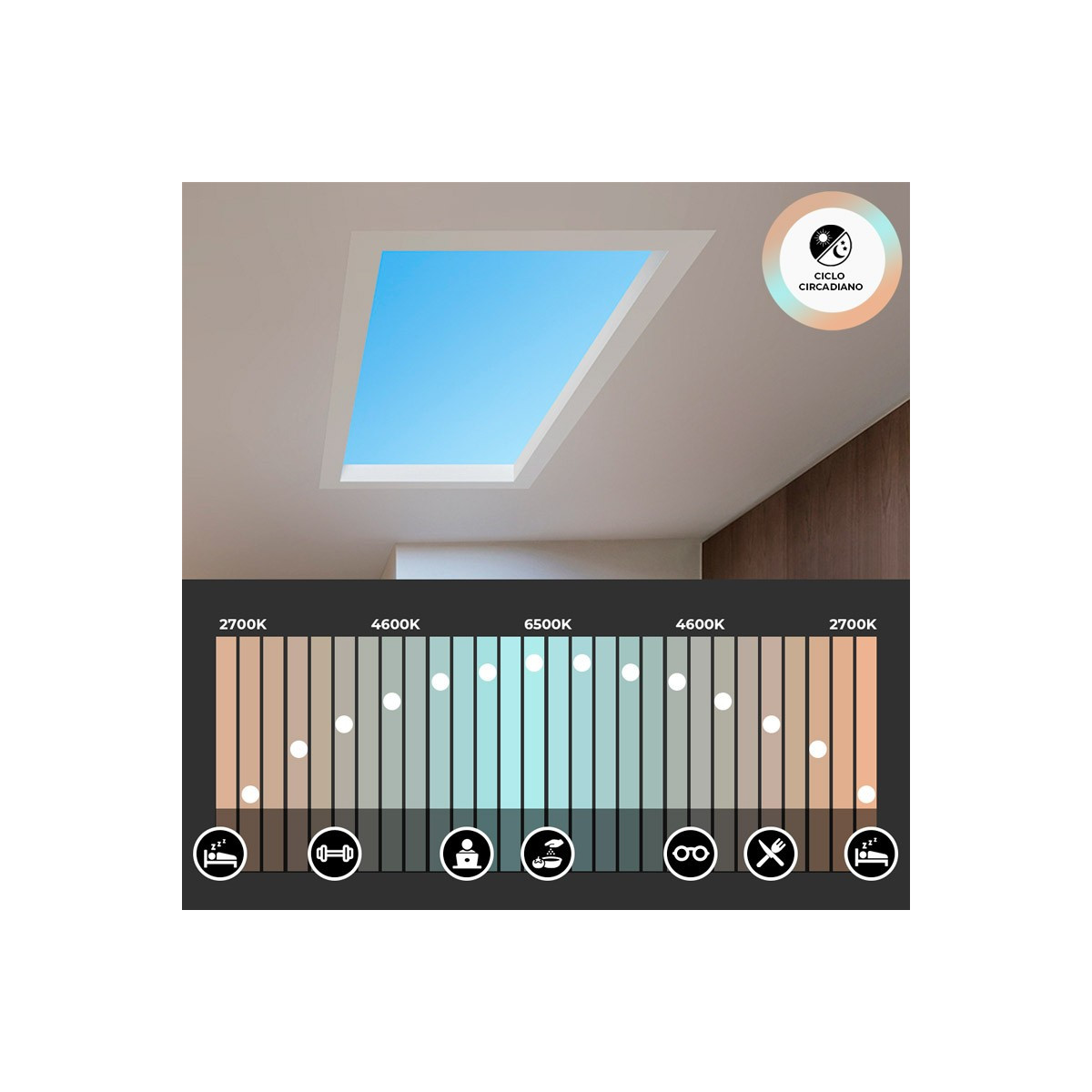 "SMART Blue Skylight" LED Panel - Sky effect - 50W - 60x30cm