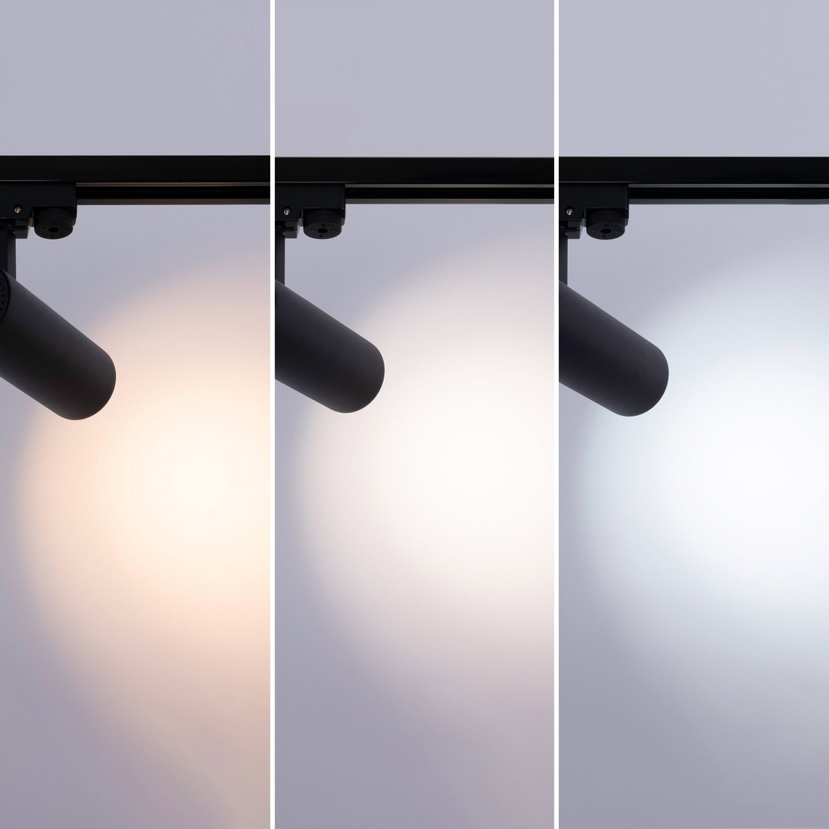 CCT LED 1-phase track spotlight - 10W - KGP Driver - Black