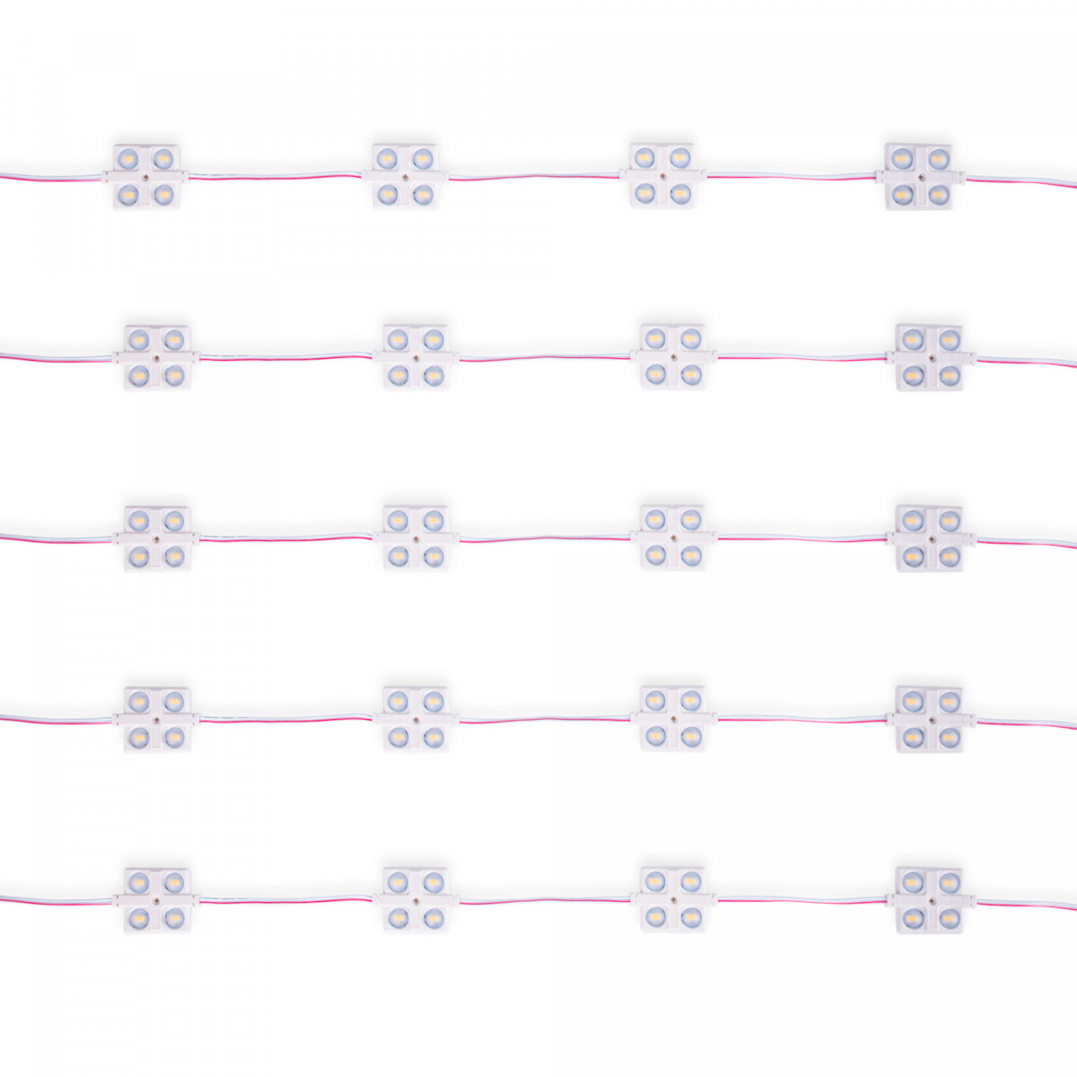 LED module for illuminated signs - 2W - 12V - IP65 - 6000K