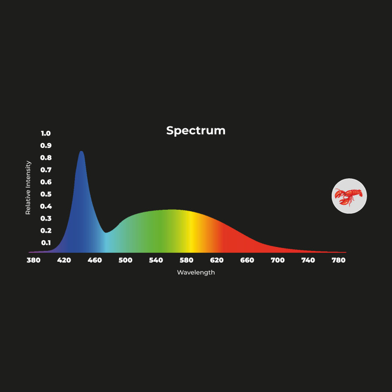 LED 3-phase track spotlight 40W - Fish and Seafood -Philips