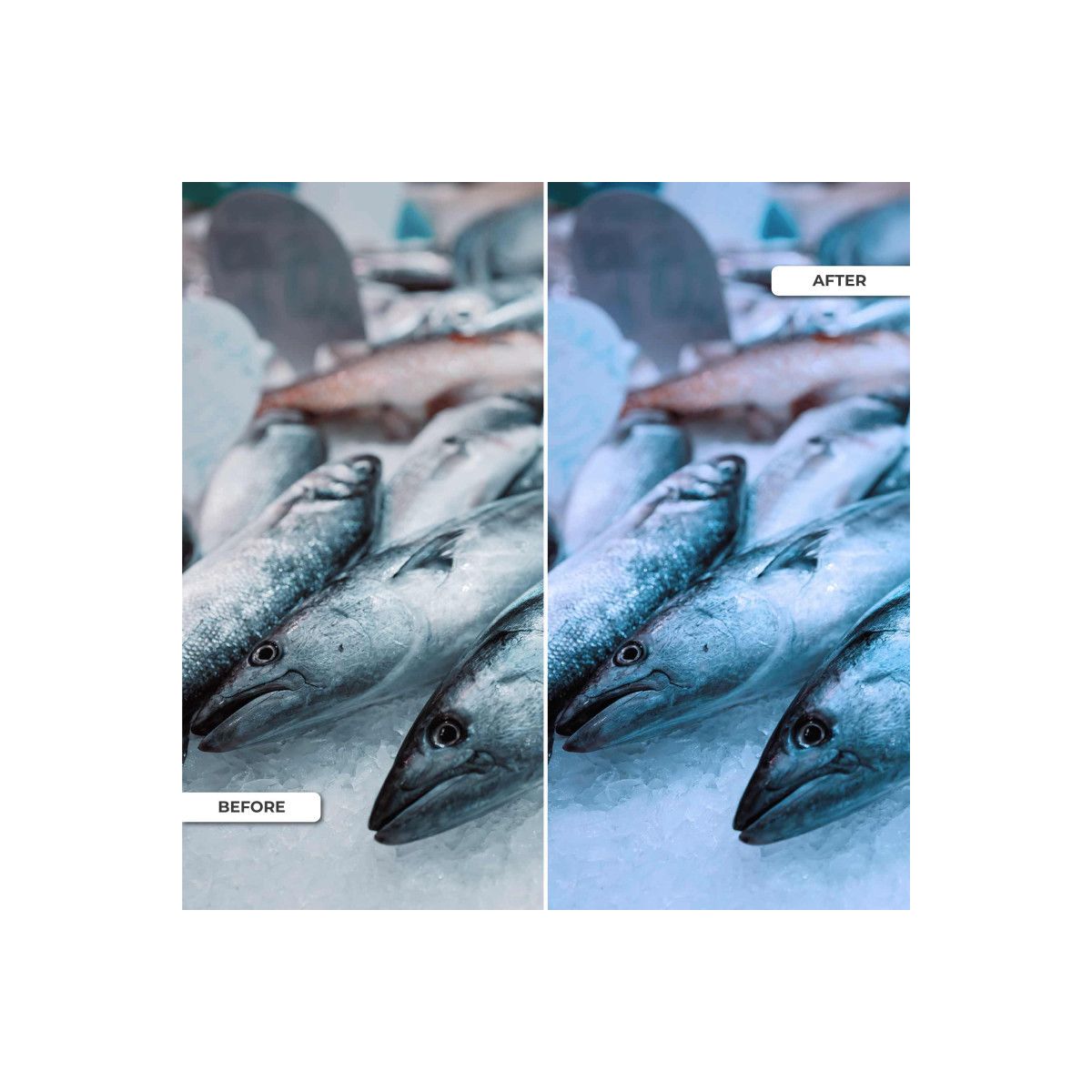 LED 1-phase track spotlight - 40W - Fish and Seafood -CRI 90