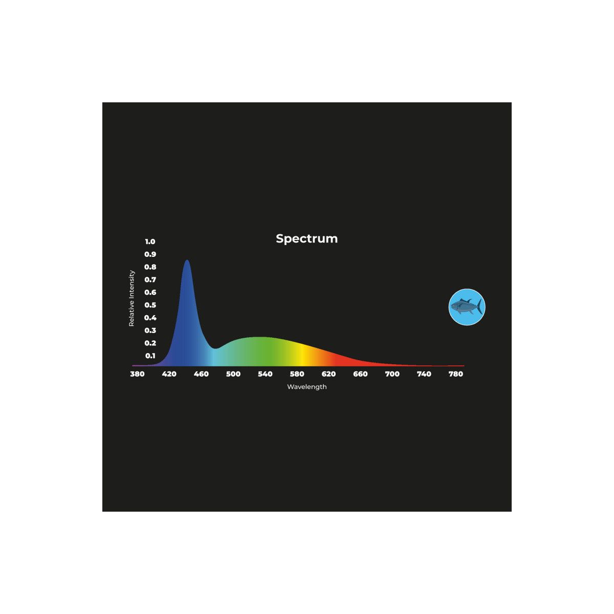 LED 1-phase track spotlight - 40W - Fish and Seafood -CRI 90