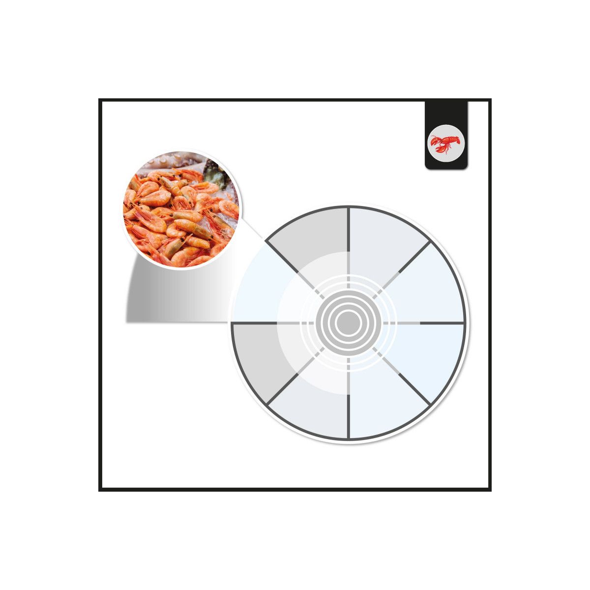 LED 1-phase track spotlight - 40W - Fish and Seafood -CRI 90