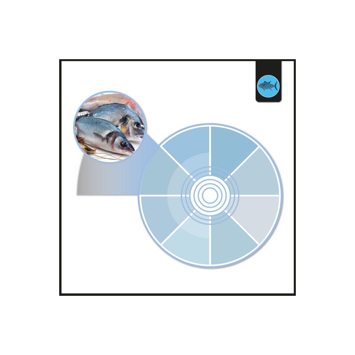 LED 1-phase track spotlight - 40W - Fish and Seafood -CRI 90