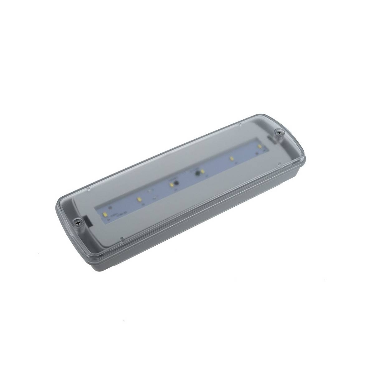 Surface-mounted weatherproof box for emergency light - IP65