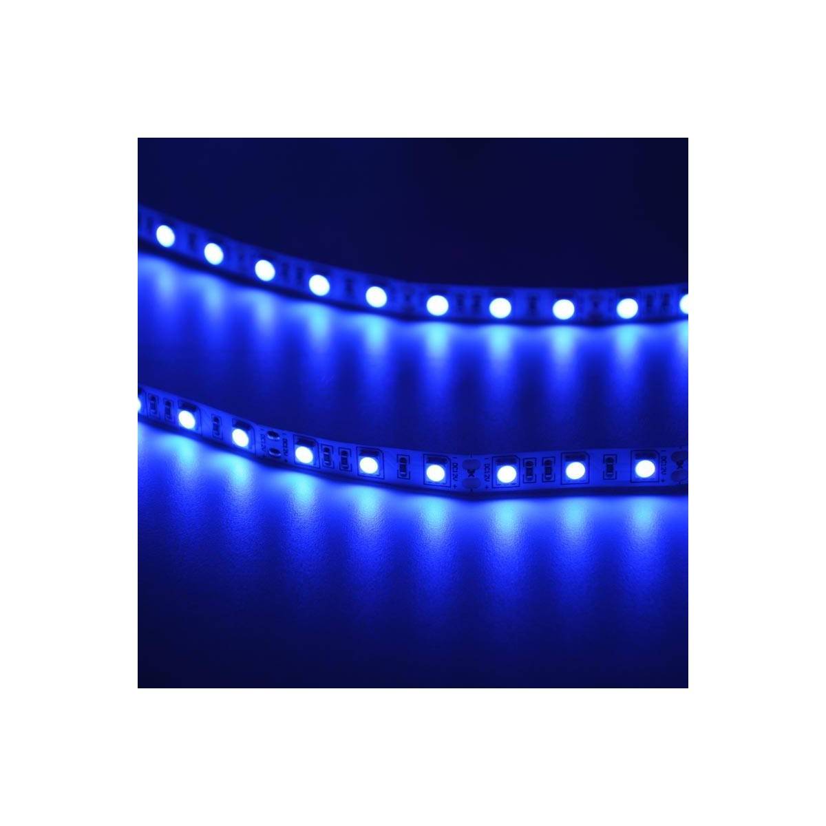 Acquista Striscia LED UV Ultravioletto Luce Nera 12V BarcelonaLED