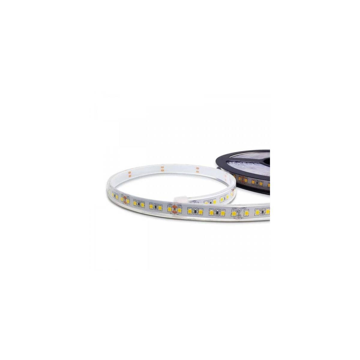 Striscia LED 24V DC - Monocolore - 18W/m -12mm -5m -120LED/m